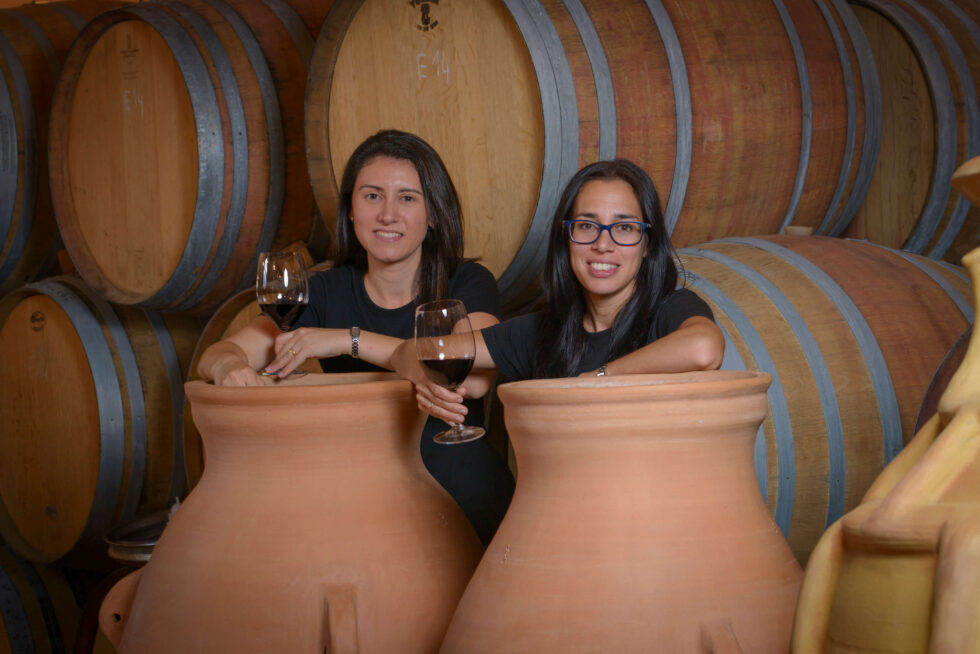 Parés Baltà R-Evolution, vegan friendly wines from biodynamic ...