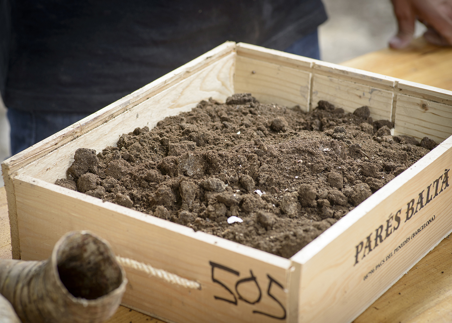 Biodynamic farming at Parés Baltà