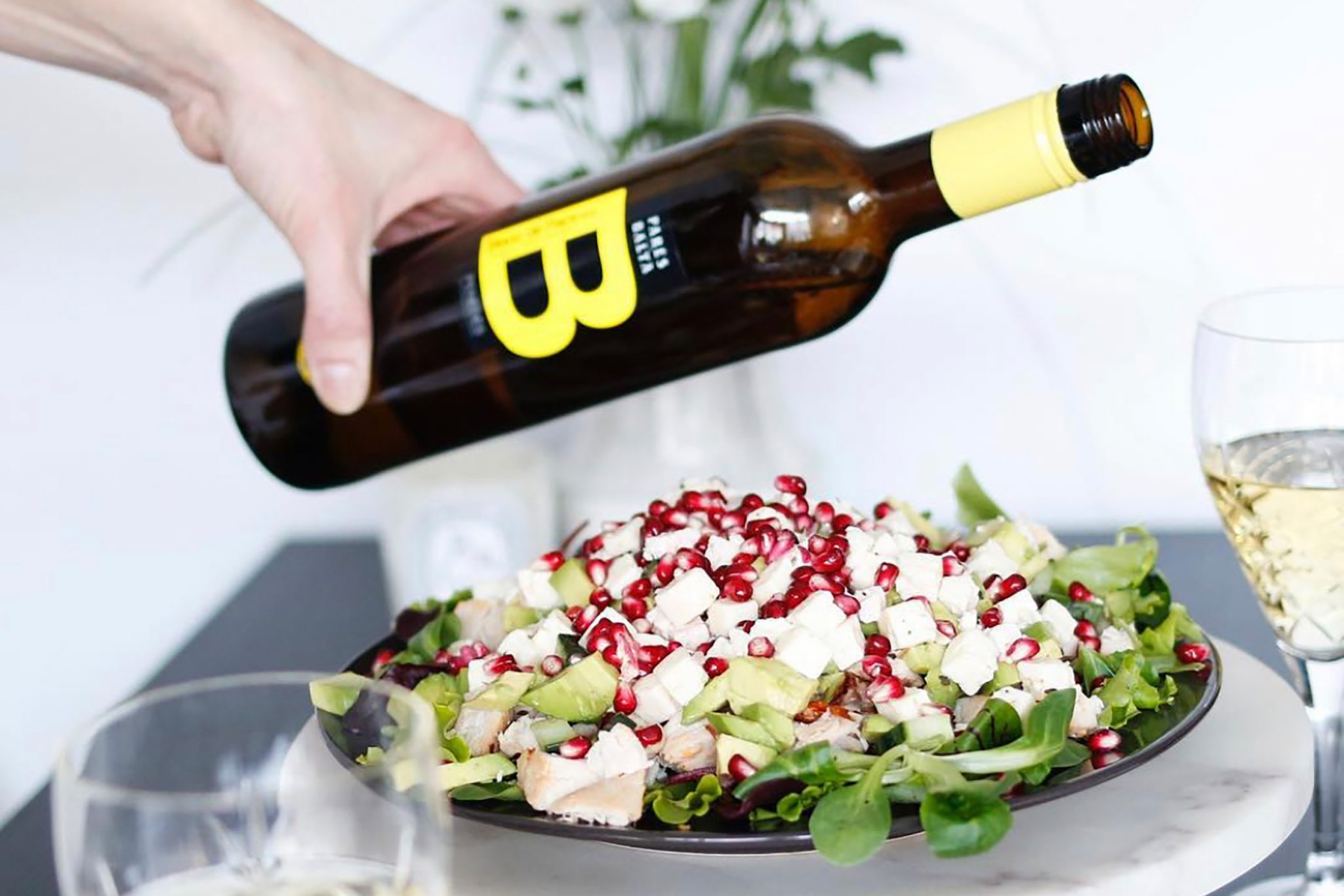 Parés Baltà organic wines from biodynamic viticulture