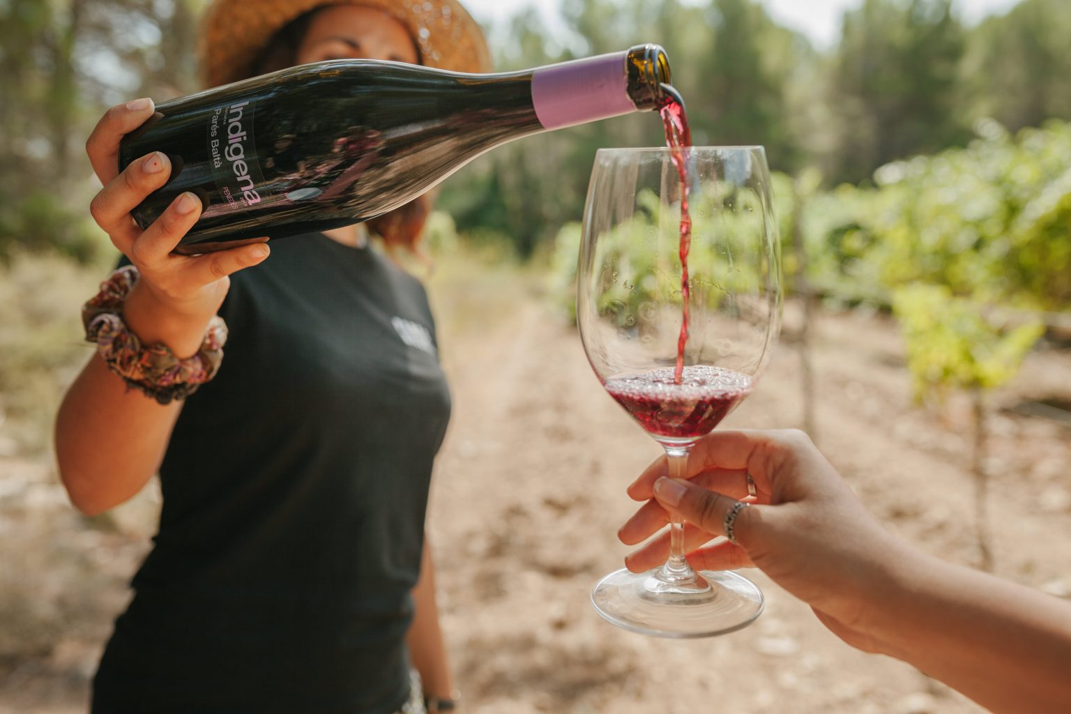 Vino y Cava ecológico y biodinámico del Penedés