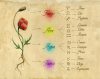 What is a biodynamic calendar and how does it work? - Pares Baltà