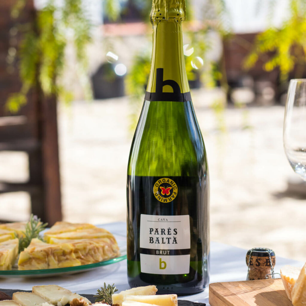Buy Organic Cava Brut Parés Baltà