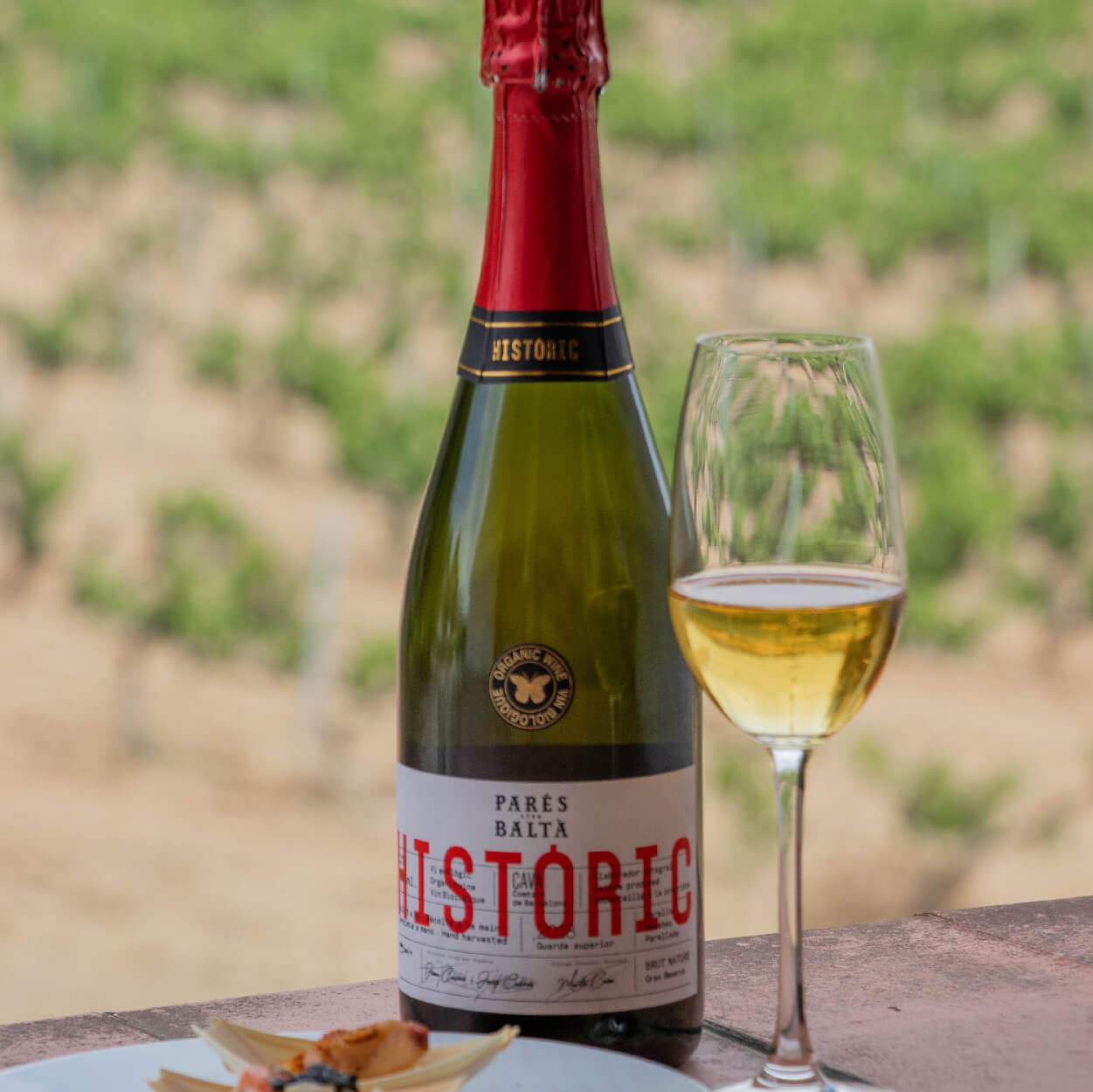 Buy Parés Baltà Cava Historic - Organic