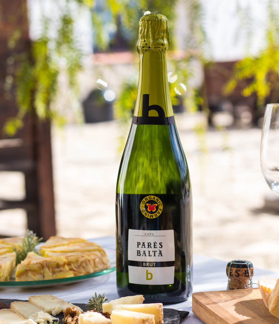 PARÉS BALTÀ BRUT, OUR CAVA DE GUARDA: FRESH, MINERAL, AND CITRIC ...