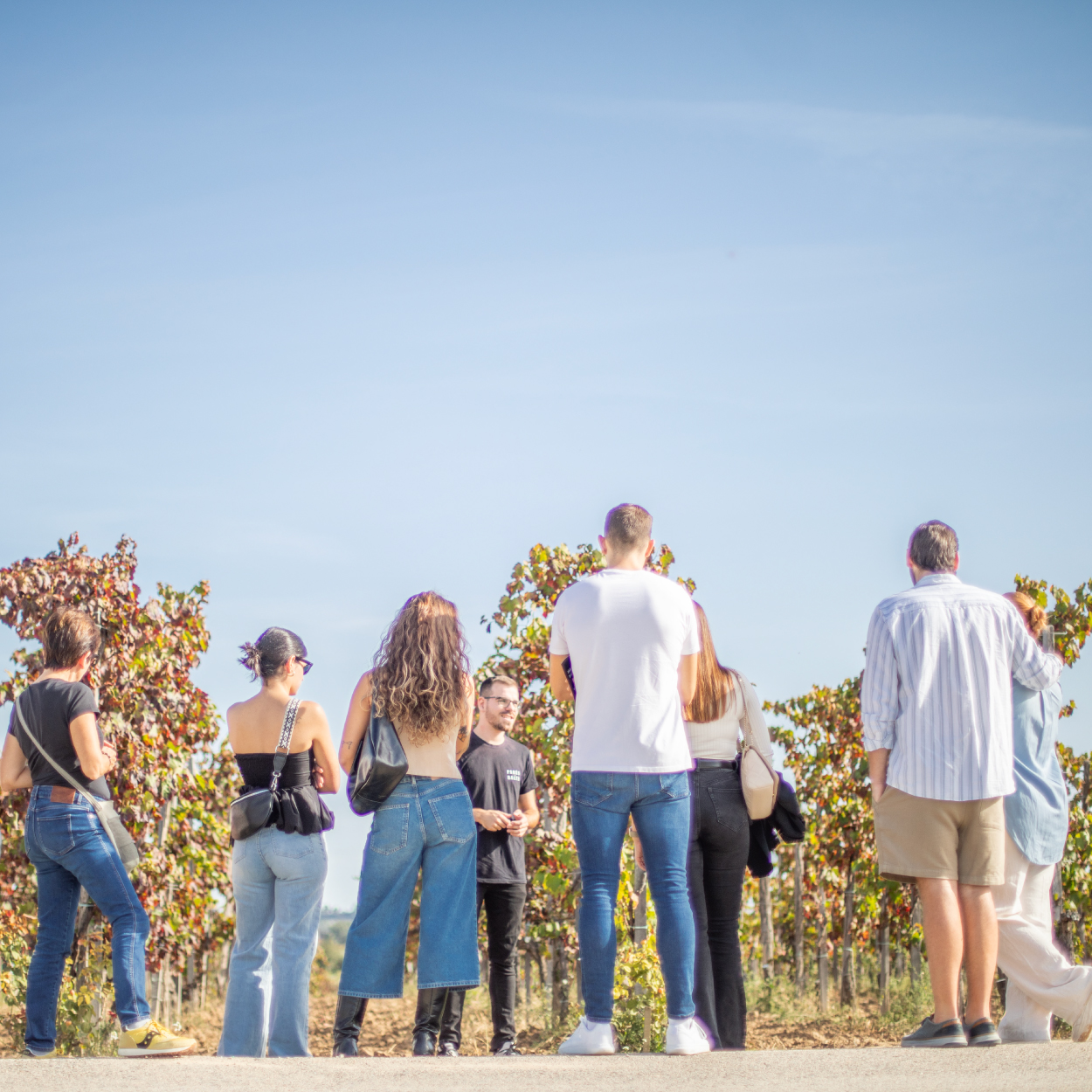 Parés Baltà among the 100 best wineries in the world - Pares Baltà